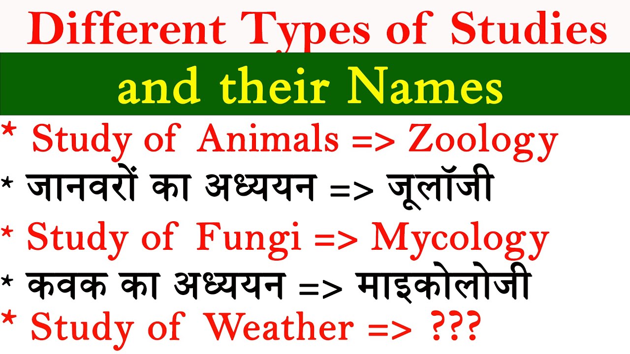 Different Types Of Studies And Their Namesl Root Words With Logy LA different-types-of-studies-and-their-namesl-root-words-with-logy-la