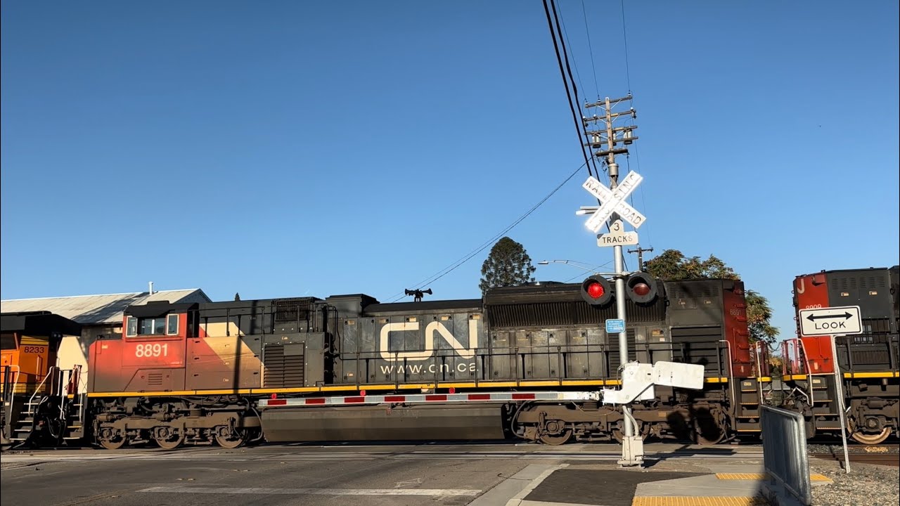 BNSF 8233 Manifest Freight Train w/ 2 CNs North - E. Lindsay Street ...