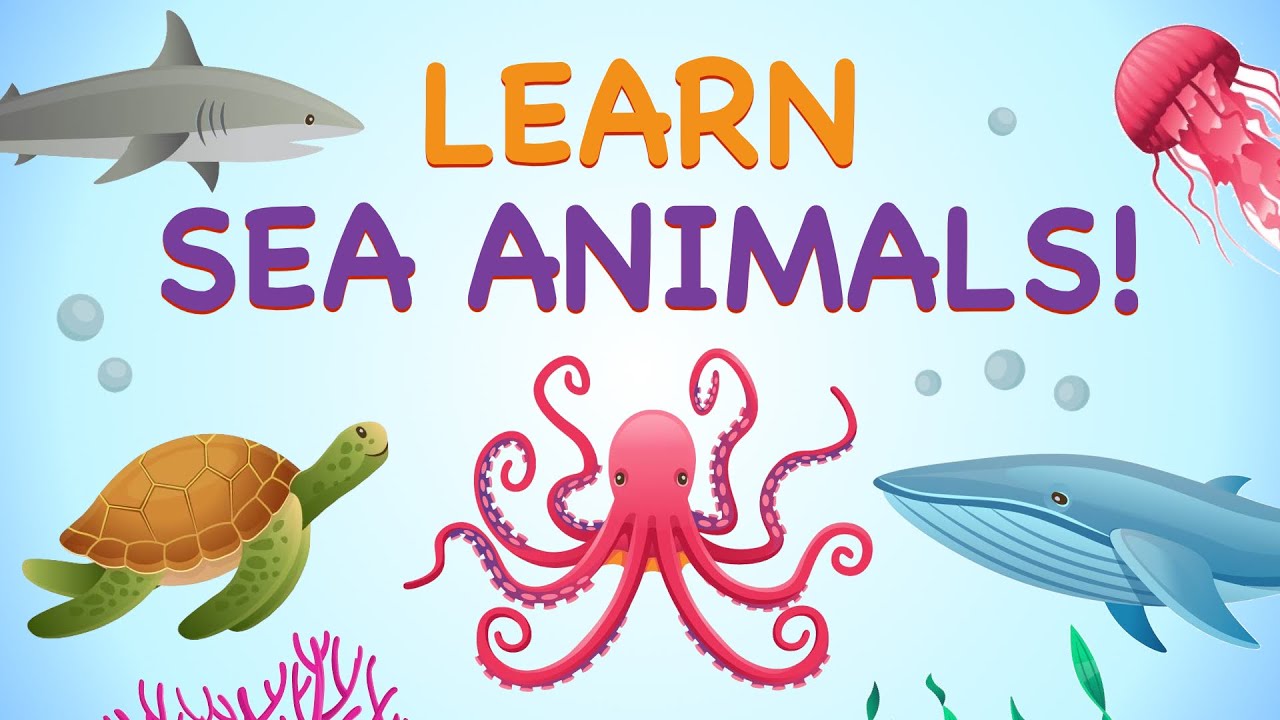 Learn Sea Animals | Kids Fun Learning | Learn Vocabulary - YouTube