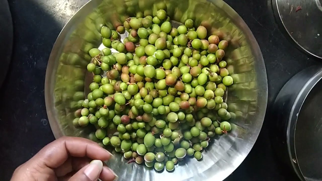 Karvandache Lonche| करवंदाचे लोणचे| karonde ka aachar| Kalakai karvand ...