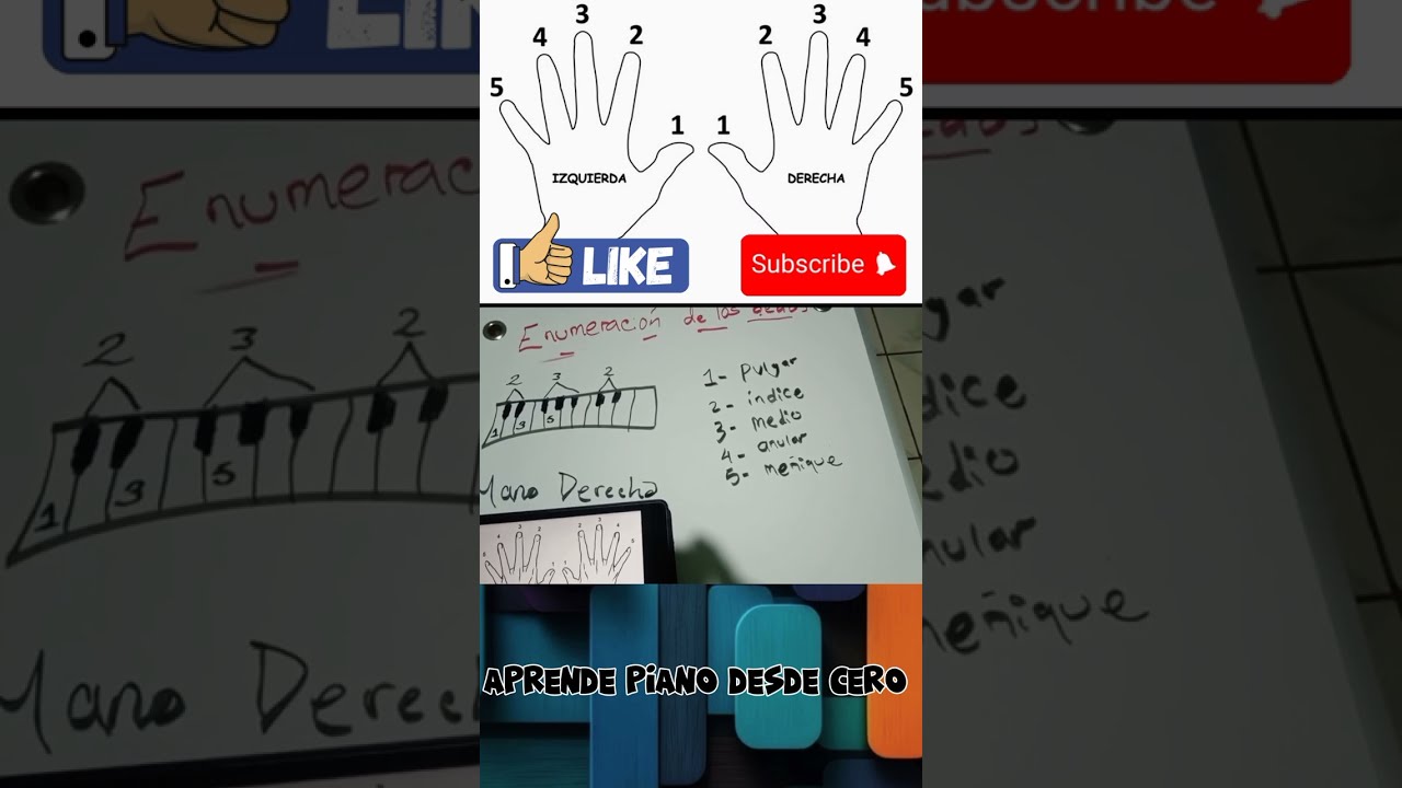Lección 4 : numeración de dedos en piano - YouTube