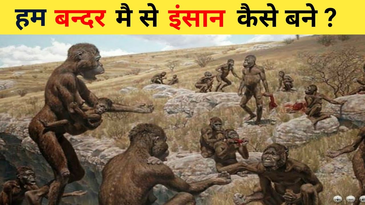 हम बन्दर मे से इंसान कै से बने | How did we become humans from monkeys ...