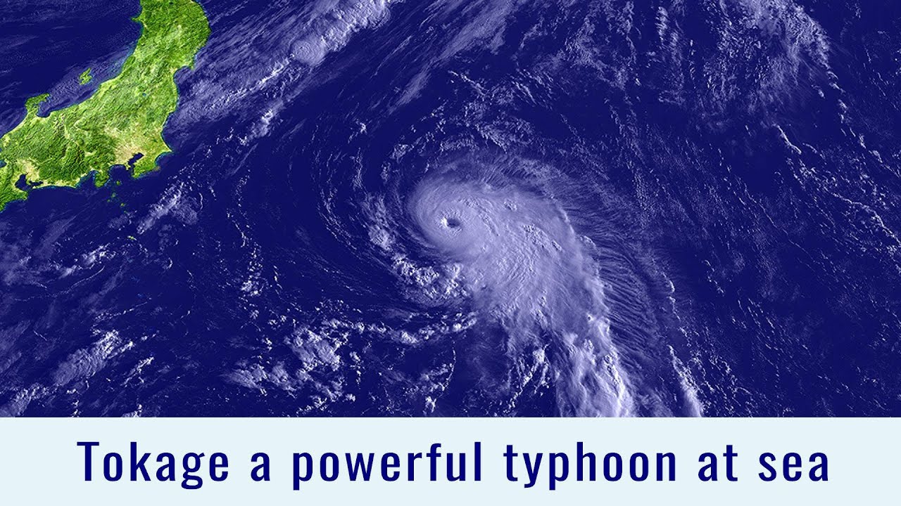 Powerful Typhoon Tokage off the coast of Japan - 7am August 24 - YouTube