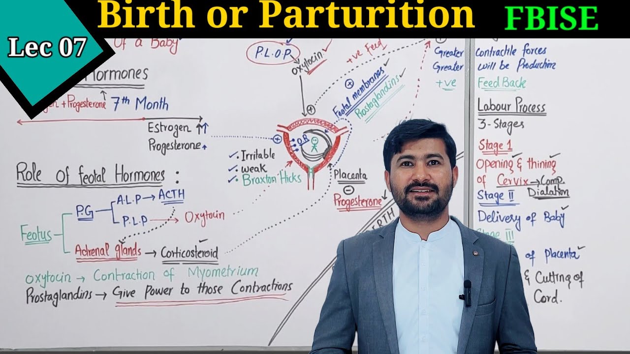 Birth process class 12 | How labour pain starts naturally | how birth ...
