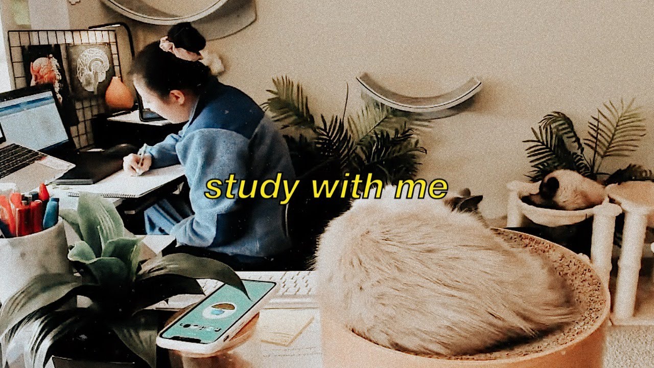 Live STUDY WITH ME for 11 Hours - YouTube