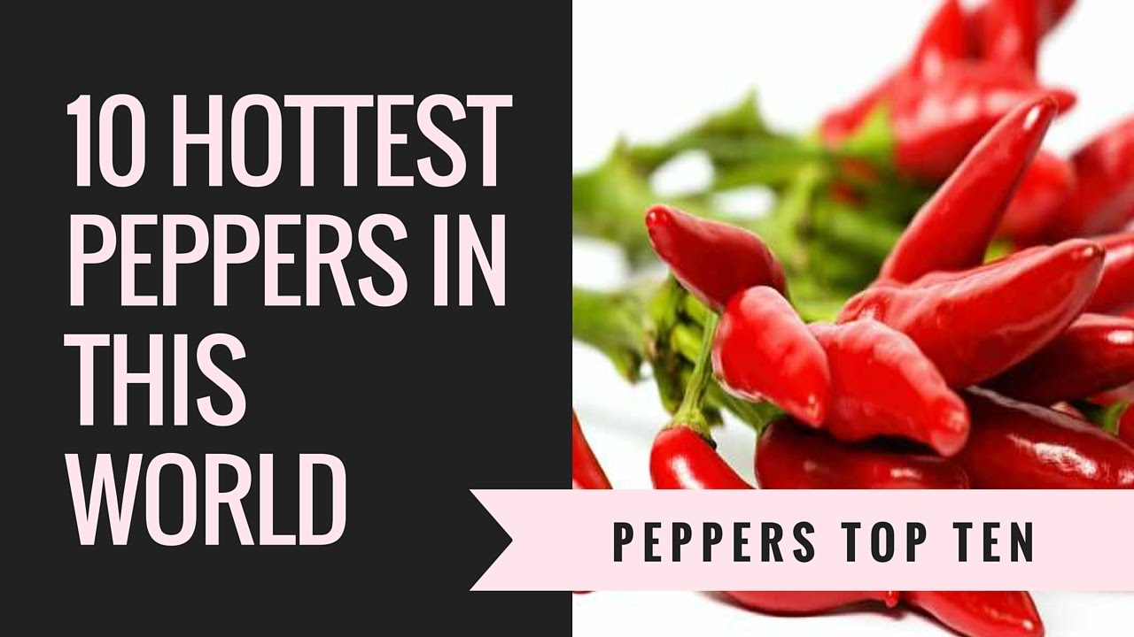 Hottest chillis in the world - YouTube