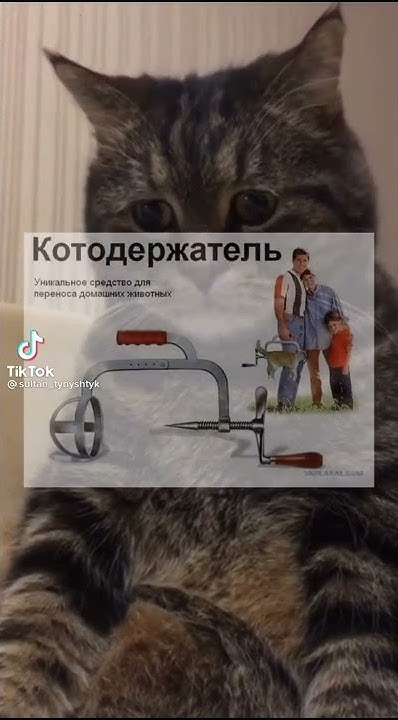 котодержатель версия 2.0 если что то такого приспособления не ...