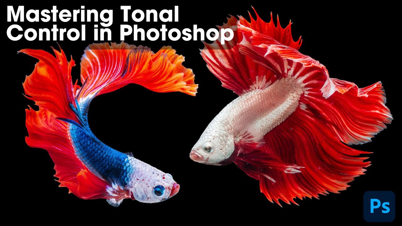 Mastering Tonal Control In Photoshop - YouTube