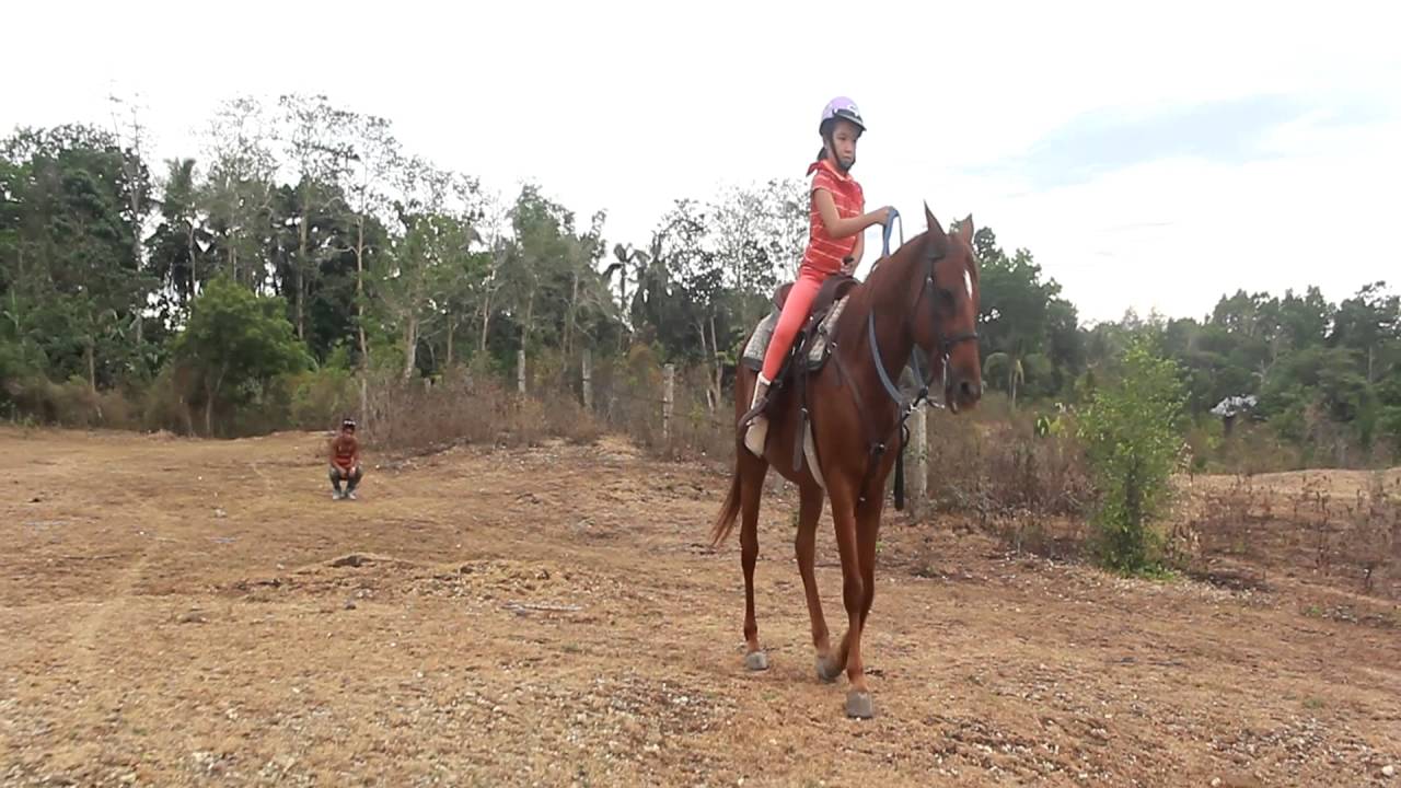 Horse back riding in the Philippines - YouTube