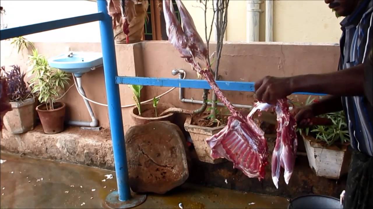 slaughtering of Goat - YouTube