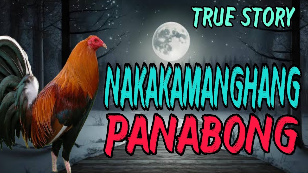 PART 1 I ANG NAKAKAMANGHANG PANABONG I SABONG MUTYA I TRUE STORY - YouTube