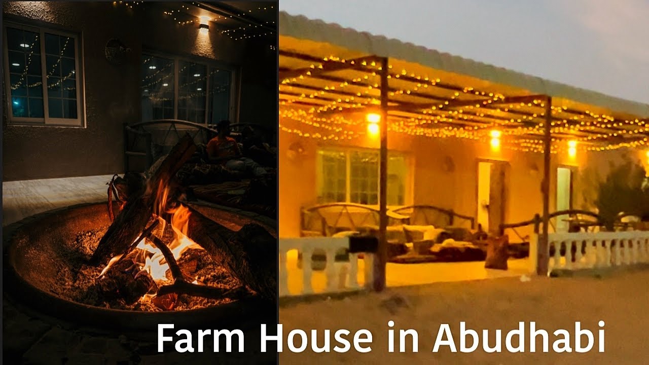 Farm House in ALWATHBA Abudhabi || Farm House Stay || Horse Farm Stable ...