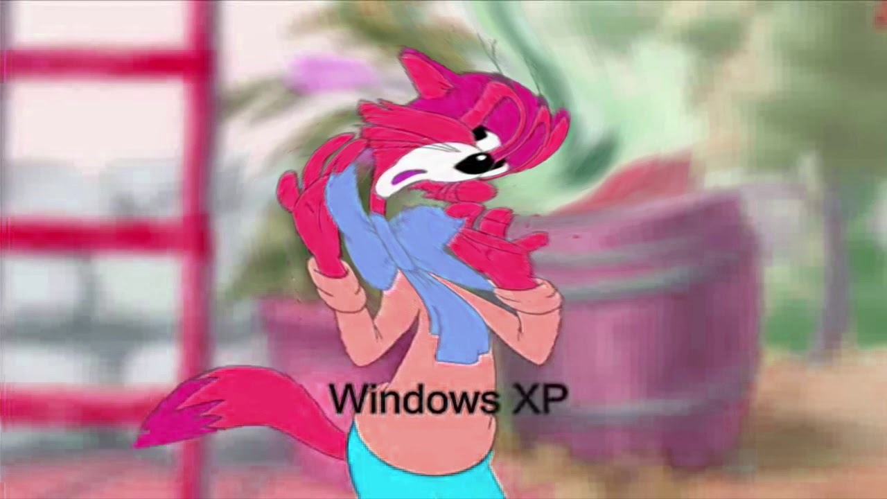 Preview 2 Cat Leopold Says Windows XP Effects - YouTube