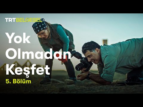 Yok Olmadan Keşfet | Akrepler | TRT Belgesel