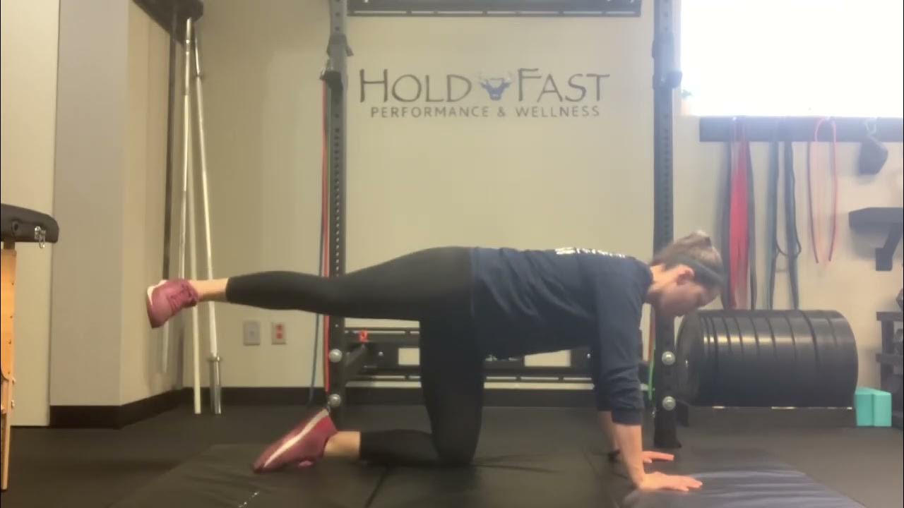 Quadruped Hip Airplanes Youtube