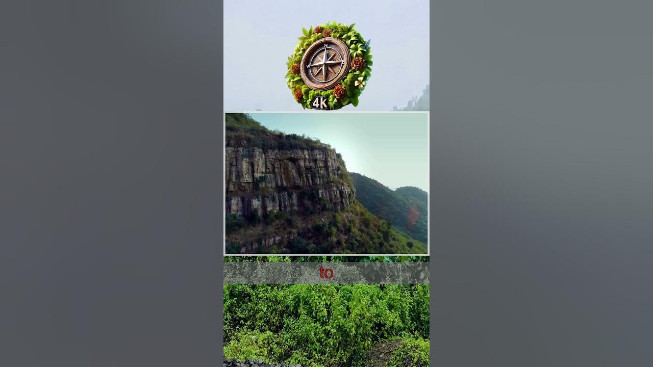 Monkeys vs Python: Jungle Drama with Langurs and Deer 🐒🐍| #Wildlife # ...