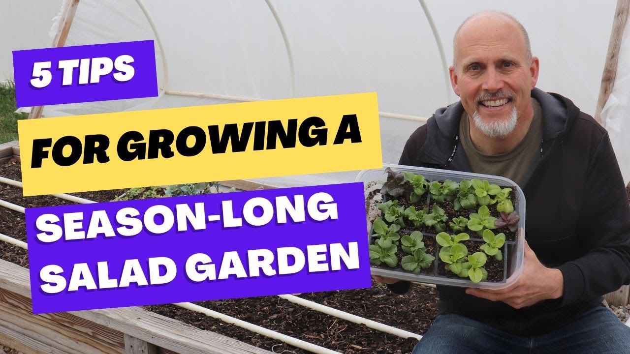 5 Tips for growing a season long salad garden - YouTube
