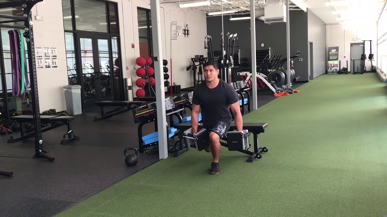 Dumbbell Rear Foot Elevated Split Squat - YouTube