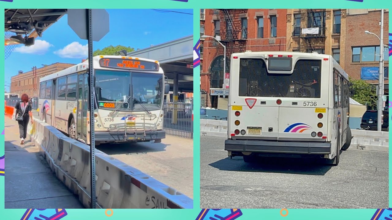 NJ Transit 87 HOBOKEN-PATH VIA JOURNAL SQUARE (NABI 416.15 #5736) - YouTube