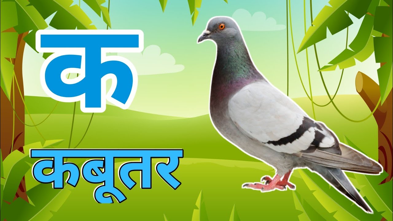 अ से अनार, आ से आम, हिंदी वर्णमाला, अआइईउऊ, क से कबूतर, ase anar, aa se ...