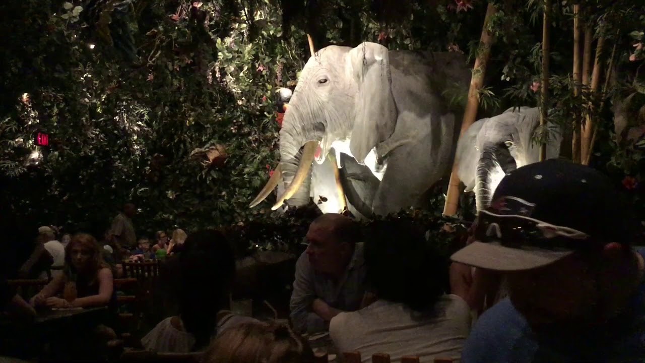 Rainforest Cafe - YouTube
