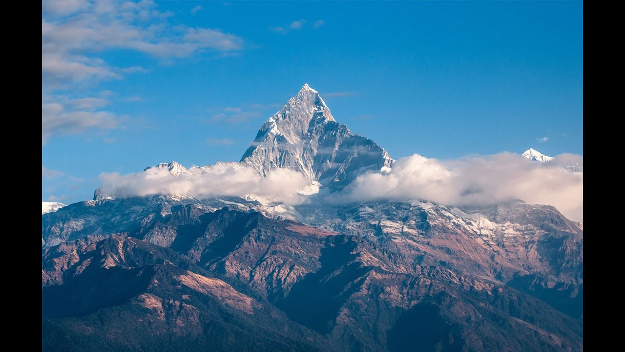 20240702辯方證人2_玛吉·斯克拉/Maggie Sklar_證人證言 - YouTube