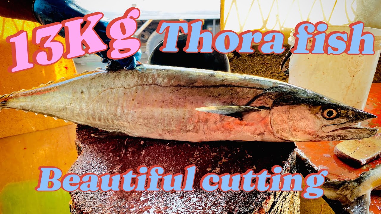 The Ultimate Fish Cutting Tutorial: From Scale to Plate - YouTube