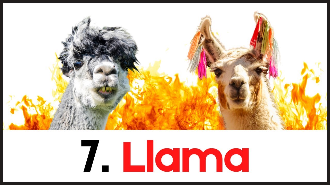 7. Llama - YouTube