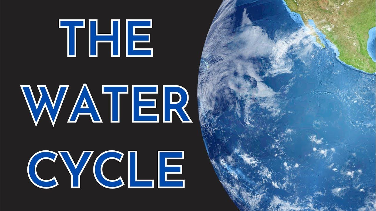 Learn the Water Cycle | Science Education for Children | Evaporation ...