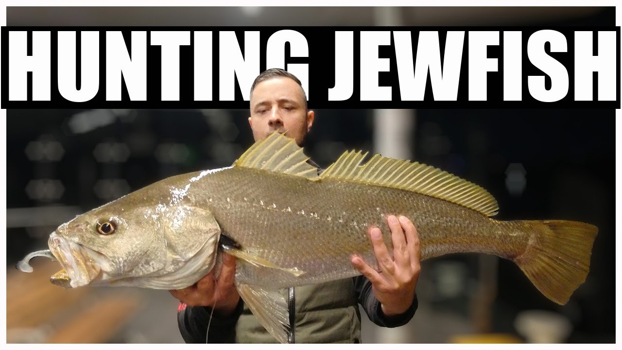 Hunting Jewfish - 1000 Subscriber Special - Land Based Mulloway Sydney ...