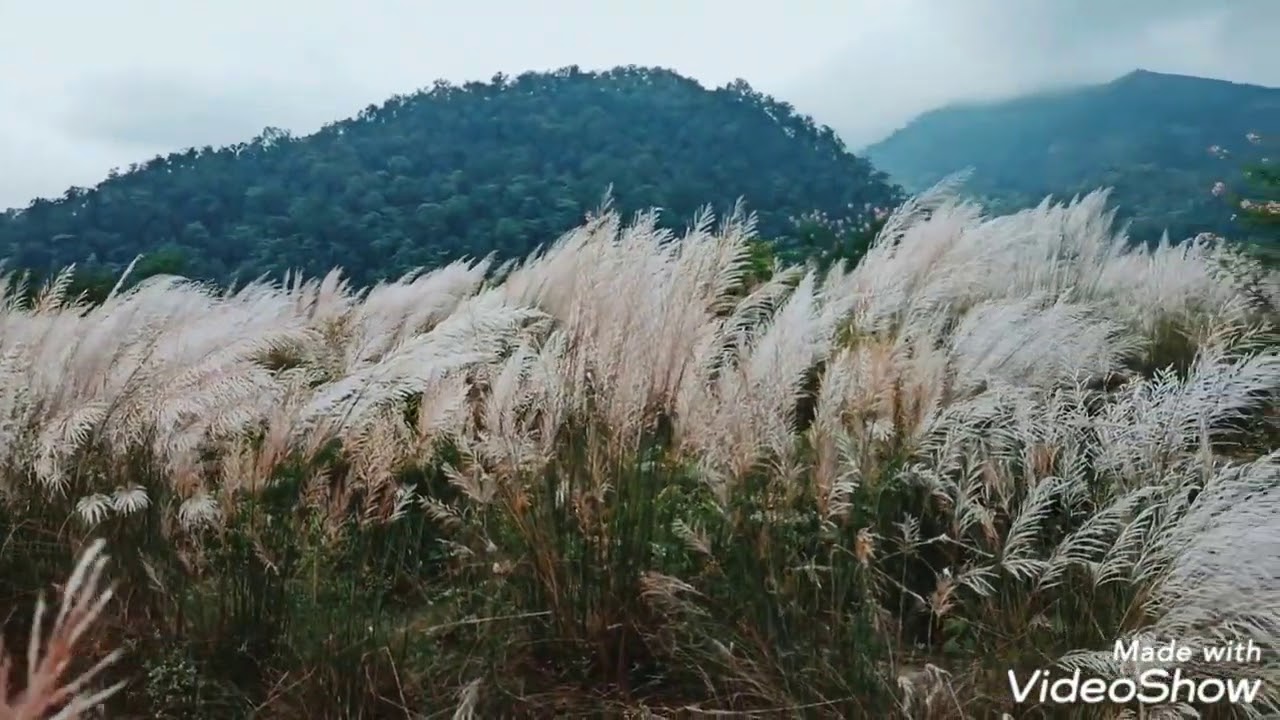 Jungle river view in kotabagh Nainital - YouTube