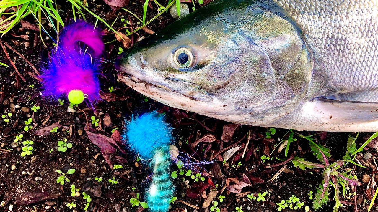 Chum fishing Minter Creek - YouTube