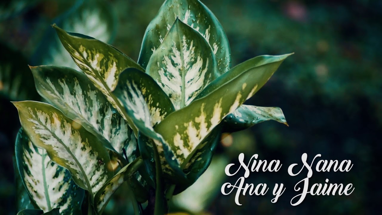 Nina Nana - Ana Y Jaime / Discos Fuentes [Audio] - YouTube