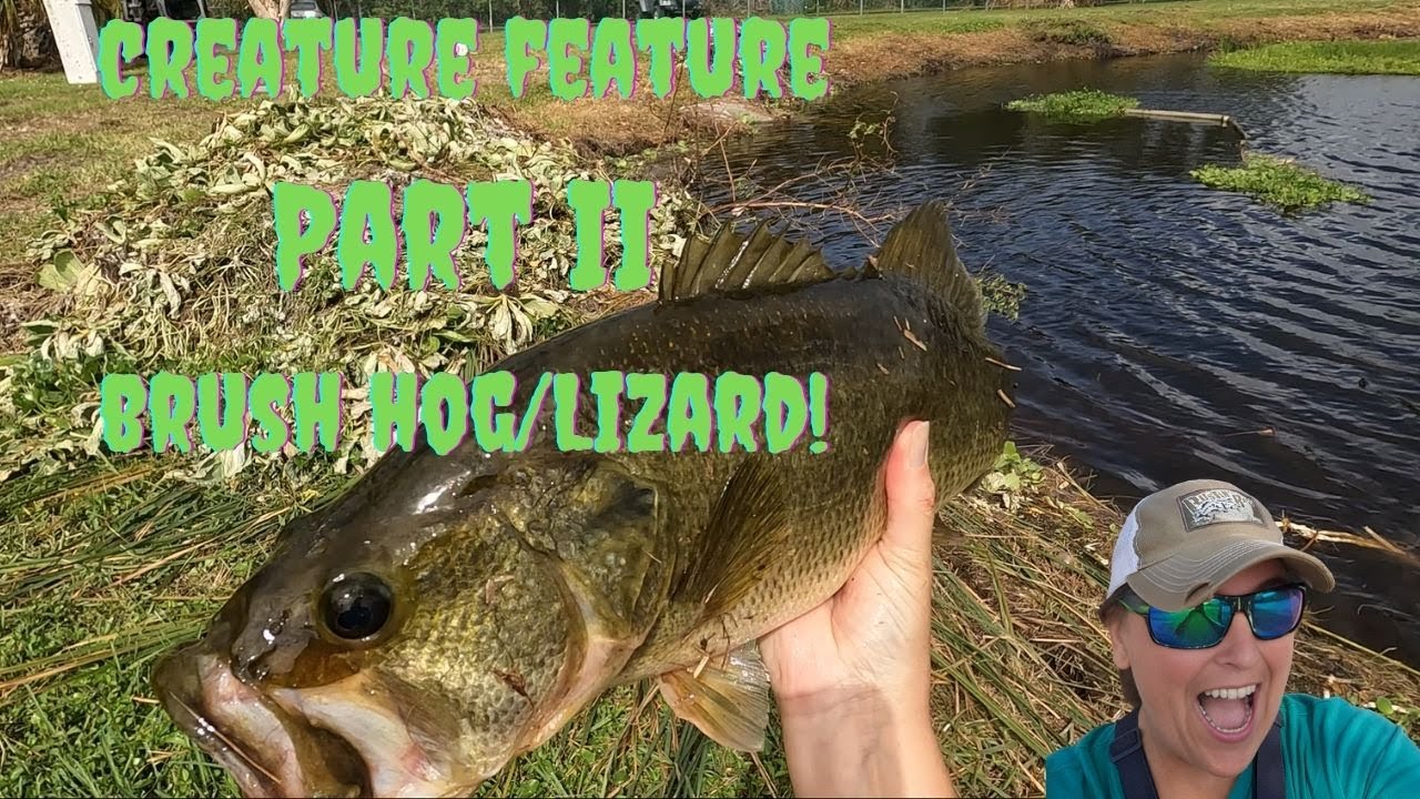 Creature Feature II: One of the fish..trumps my biggest bass of Fall ...