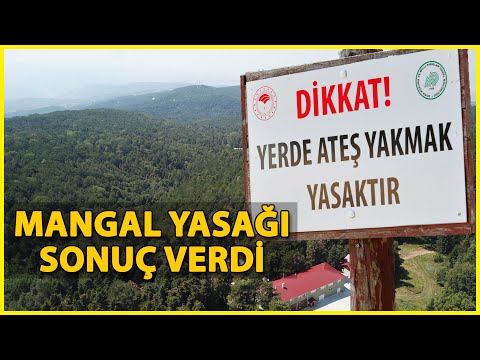 Mangal Yasağı Piknikçileri Küstürdü Ama Yaban Hayatı Canlandı