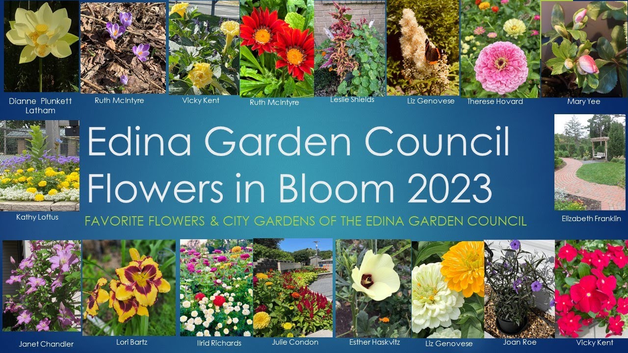 Edina Garden Council Flowers in Bloom 2023 - YouTube