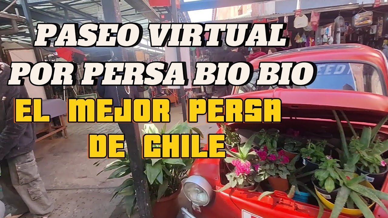 RECORRIENDO EL PERSA BIO BIO EN BARRIO FRANKLIN Y LOS MEJORES PUESTOS ...