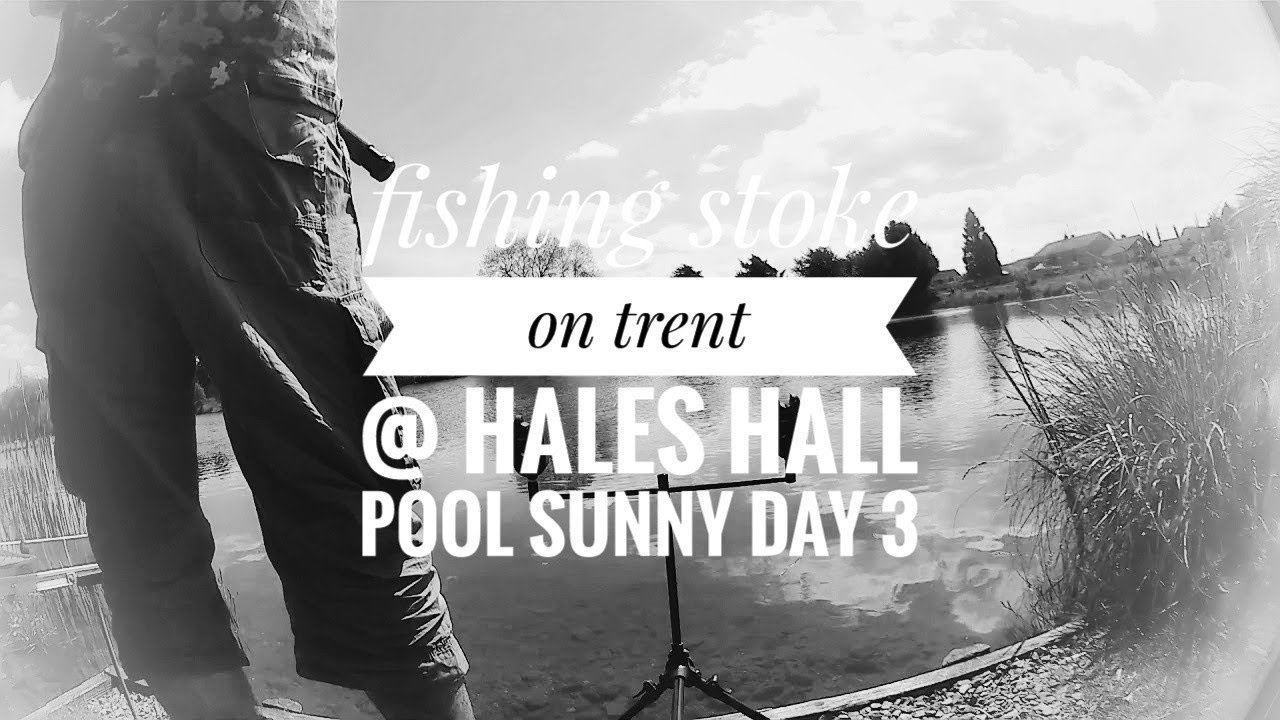 fishing stoke on trent @ hales hall pool sunny day 3 - YouTube