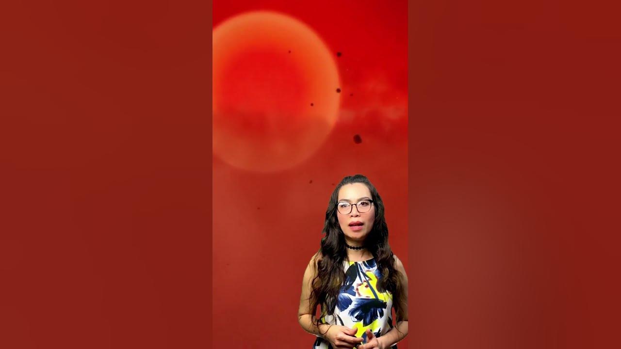 Life Cycle Of A Star YouTube life-cycle-of-a-star-youtube