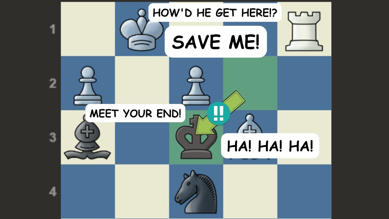 The King is the Most Powerful Piece in the Chessboard | Funny Chess ...