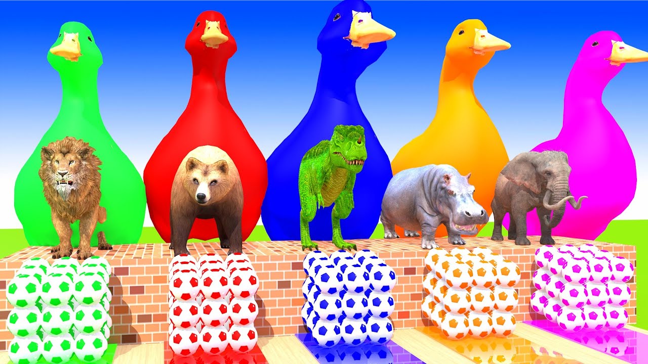 5 Giant Duck Cartoon,Tiger,Cow,rabbit,Zebra,Hamsters,Dog,Cat Wild ...