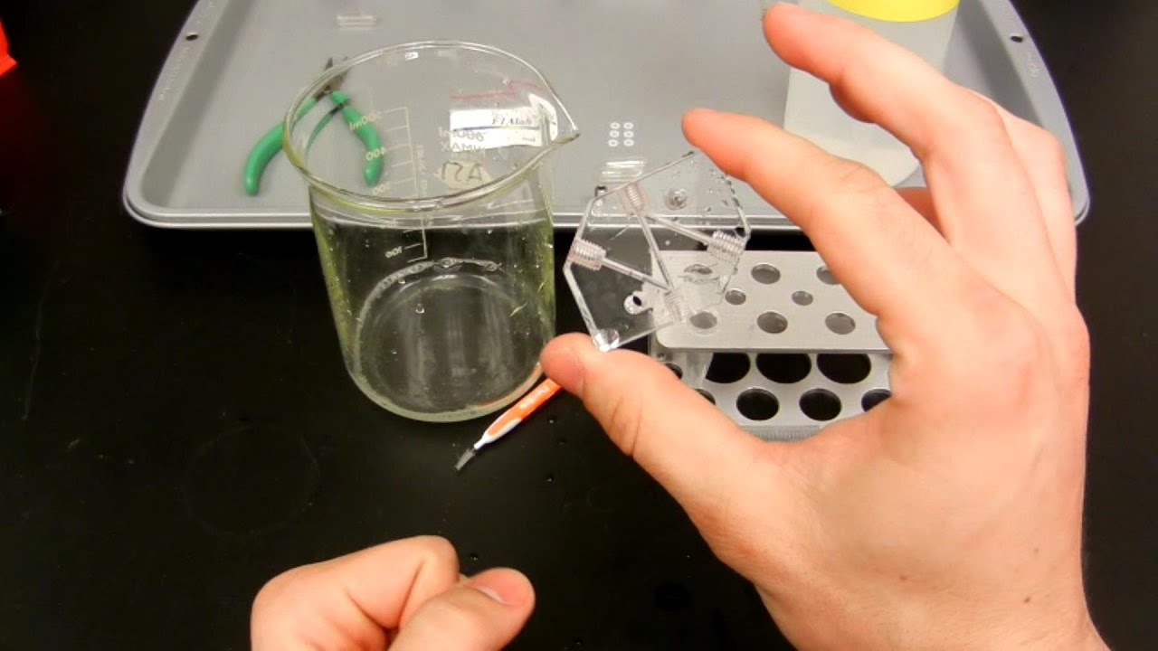 How to Clean a Flow Cell - FIAlab Instruments - YouTube