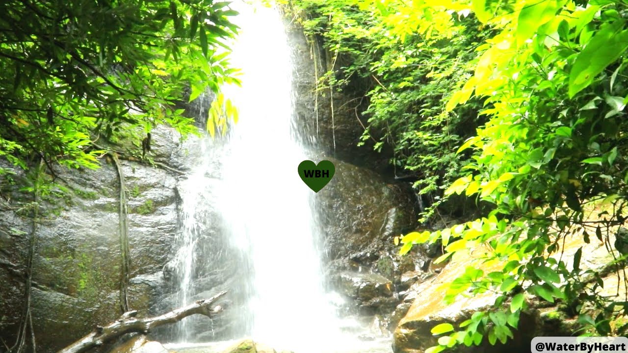 Relaxing WATERFALL Water sounds, SOOTHING PIANO to fall ASLEEP♥DEEP ...