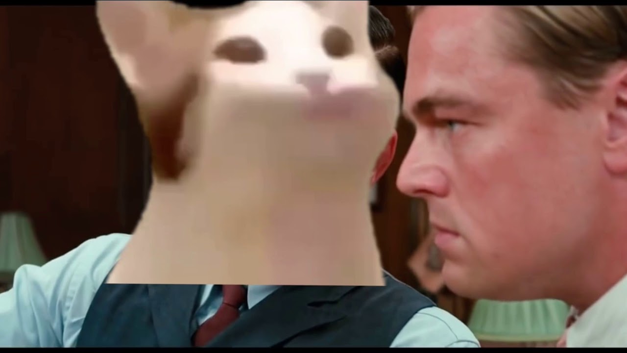 Leo has no time for pop cat - YouTube