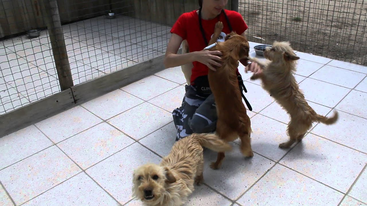 Pamela, Pam, Polo, Paulina video - YouTube