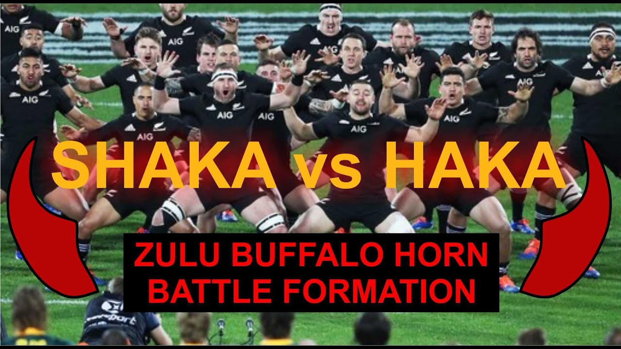 The Springboks Impi? 👍 🏉 👎 The Haka Challenge | Bokke sHaka Impi # ...