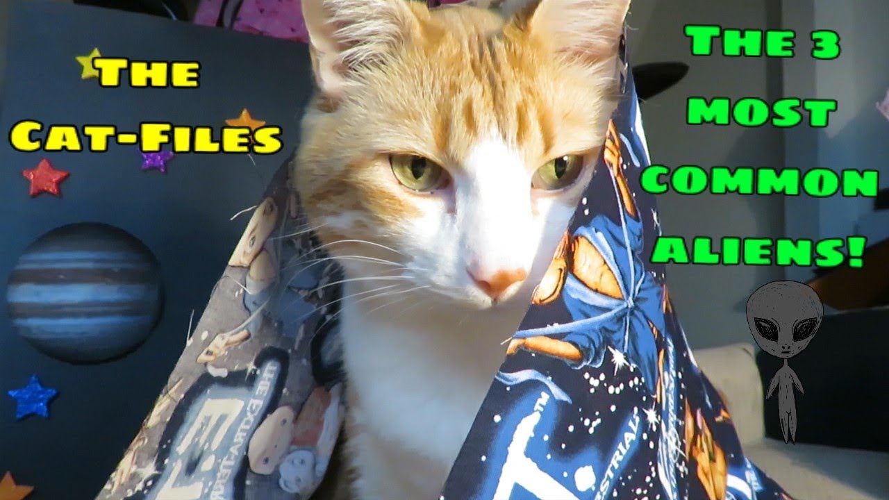 The 3 Most Encounters Aliens | The Cat-Files - YouTube