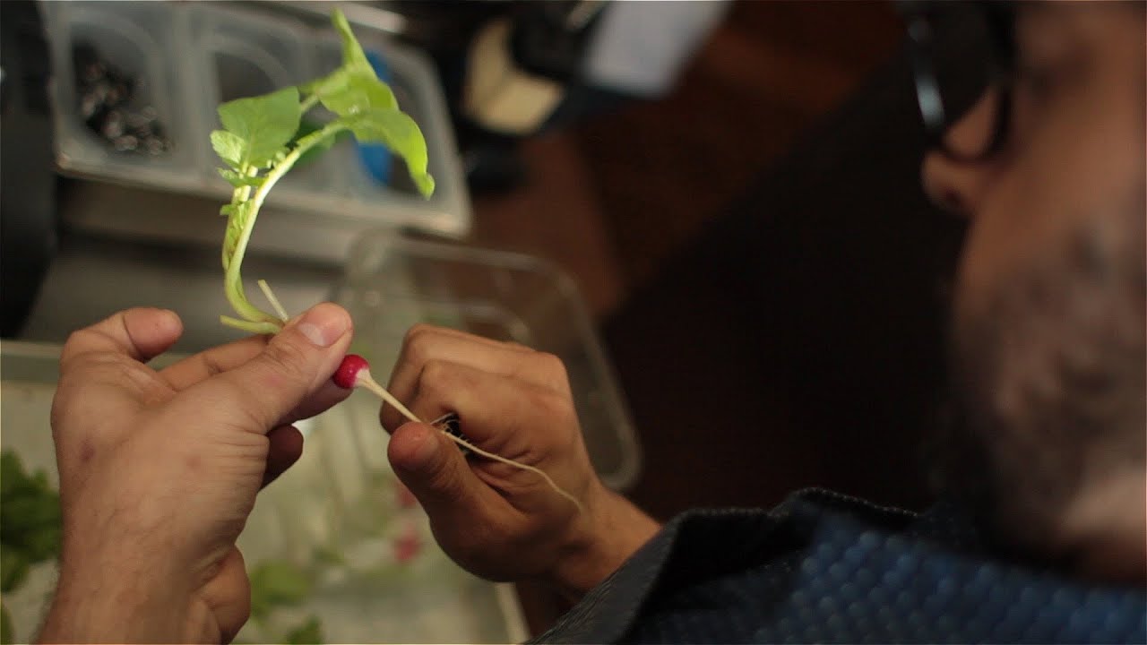 Chef Jeremy Fox on Craftsmanship - YouTube