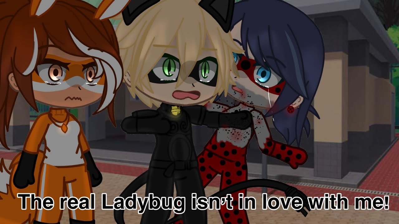 The Real Ladybug isn’t in love with Me 🐞 ️🙅 (MLB) || AU || ⚠️ Fake ...