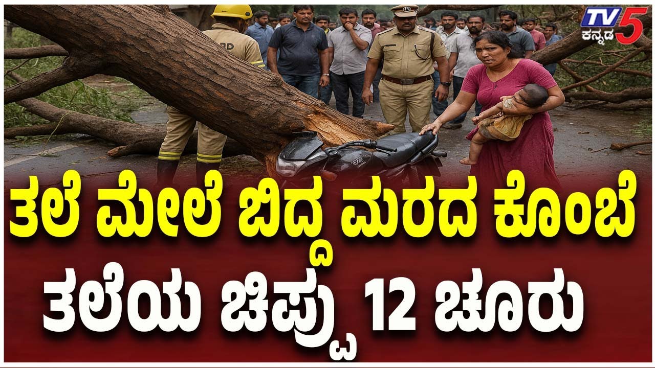 Bengaluru Shocking Incident: ಬೆಂಗಳೂರಲ್ಲಿ ಸವಾರನ ತಲೆ ಮೇಲೆ ಬಿದ್ದ ಮರದ ಕೊಂಬೆ, ತಲೆಯ ಚಿಪ್ಪು 12 ಚೂರು ...